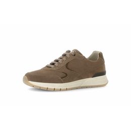 Gabor Sneaker Herren Gr&ouml;&szlig;e 38.5 dunkelbeige