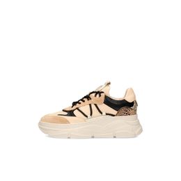 PS Poelman Sneaker 'Jilly Damen Gr&ouml;&szlig;e 40 beige / schwarz / silber