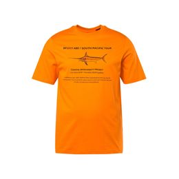 Boston Park T-Shirt Herren Gr&ouml;&szlig;e XXXL dunkelorange / schwarz