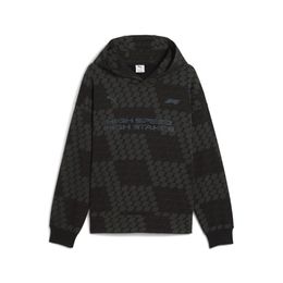 Puma Sweatshirt 'F1 Ultimate Racer' Herren Gr&ouml;&szlig;e L grau / dunkelgrau / schwarz