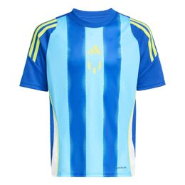 adidas Performance Funktionsshirt 'Messi' Jungen Gr&ouml;&szlig;e 164 blau / himmelblau / hellgelb