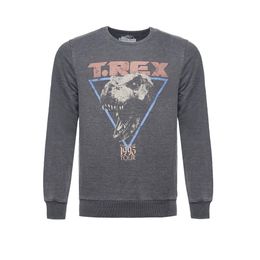 Recovered Sweatshirt 'Jurassic Park T-Rex 1993' Herren Gr&ouml;&szlig;e XXL grau