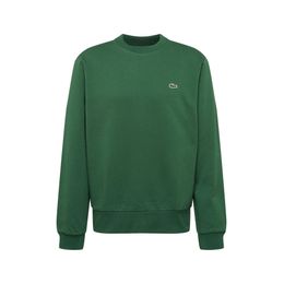 Lacoste Sweatshirt Herren Gr&ouml;&szlig;e XL jade / kiwi / wei&szlig;