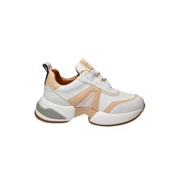 ALEXANDER SMITH Sneaker low Damen Gr&ouml;&szlig;e 39 offwhite