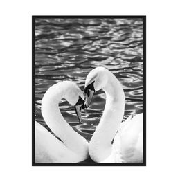 Liv Corday Bild 'Courting Whooper Swans' Herren Gr&ouml;&szlig;e 30x40 dunkelgrau / schwarz / wei&szlig;