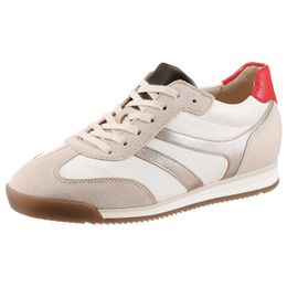 Keilsneaker Gabor, Damen, Gr. 43, beige kombiniert, Nappaleder, Veloursleder, Schuhe Keilsneaker, Freizeitschuh, Halbschuh, Schn&uuml;rer im Retro Style