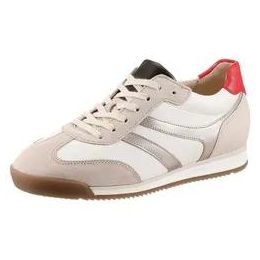 Keilsneaker Gabor, Damen, Gr. 39, beige kombiniert, Nappaleder, Veloursleder, Schuhe, Freizeitschuh, Halbschuh, Schn&uuml;rer im Retro Style