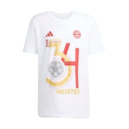 adidas Performance Funktionsshirt 'Deutscher Meister 2025' Herren Gr&ouml;&szlig;e XL braun / gelb / dunkelrot / wei&szlig;