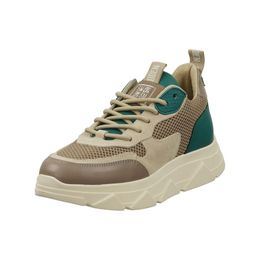 Steve Madden Sneaker Damen Gr&ouml;&szlig;e 42 beige / gr&uuml;n