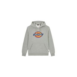 Dickies Sweatshirt 'Classic' Herren Gr&ouml;&szlig;e XL grau