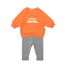 Liliput Sweatshirt und Leggings 'Little Pumpkin K&uuml;rbis' Jungen Gr&ouml;&szlig;e 98/104 grau / orange