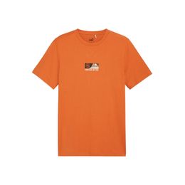 Puma Funktionsshirt Herren Gr&ouml;&szlig;e M taupe / dunkelorange / schwarz / wei&szlig;