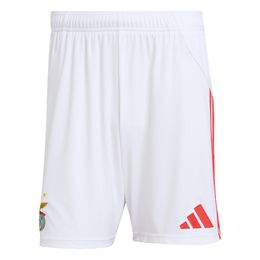 adidas Performance Sportshorts 'Benfica Lissabon 25/26' Herren Gr&ouml;&szlig;e XS goldgelb / grau / rot / wei&szlig;