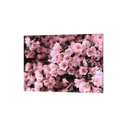 Liv Corday Bild 'Azalea' Herren Gr&ouml;&szlig;e 60x80 hellpink / schwarz
