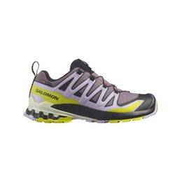 Salomon Sneaker 'XA PRO 3D V9 GTX' Damen Gr&ouml;&szlig;e 39.5/40 bunt