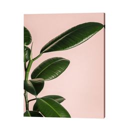 Liv Corday Bild 'Tropical Plant' Herren Gr&ouml;&szlig;e 40x50 grasgr&uuml;n / rosa / wei&szlig;