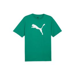 Puma Funktionsshirt 'TeamRise' Herren Gr&ouml;&szlig;e XL gr&uuml;n / wei&szlig;
