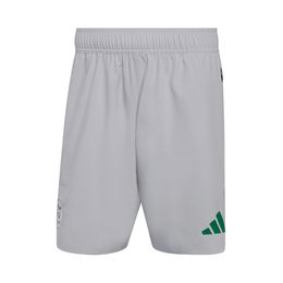 adidas Performance Sportshorts 'Algeria Tiro' Herren Gr&ouml;&szlig;e XS grau / gr&uuml;n