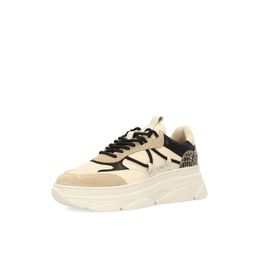 Sacha London SACHA Sneaker low Damen Gr&ouml;&szlig;e 41 beige / creme / schwarz