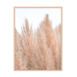 Liv Corday Bild 'Pampas Grass in Neutral Colours' Herren Gr&ouml;&szlig;e 30x40 braun / wei&szlig;
