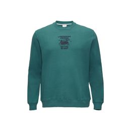 S.oliver Red Label Big & Tall Sweatshirt Herren Gr&ouml;&szlig;e XXXL jade / schwarz