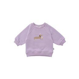 Liliput Sweatshirt 'Dackel' Jungen Gr&ouml;&szlig;e 98/104 flieder