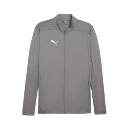Puma Sportsweatjacke 'TeamFinal' Herren Gr&ouml;&szlig;e L grau