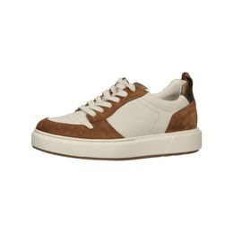 Paul Green Sneaker Damen Gr&ouml;&szlig;e 37.5 creme / braun / gold
