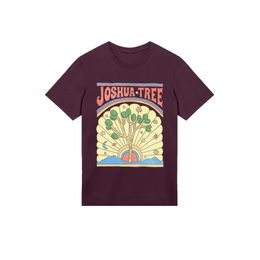 F4NT4STIC T-Shirt 'US National Parks Joshua Tree' Herren Gr&ouml;&szlig;e XS hellblau / kastanienbraun / hellgelb / koralle