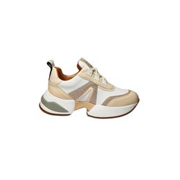 ALEXANDER SMITH Sneaker low Damen Gr&ouml;&szlig;e 39 offwhite