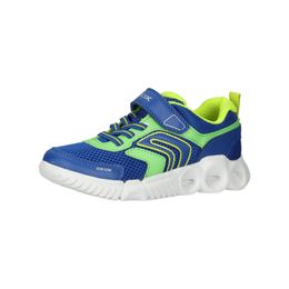 Geox Sneaker Jungen Gr&ouml;&szlig;e 27 royalblau / kiwi / hellgr&uuml;n
