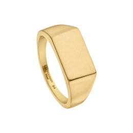 STEELWEAR Ring Herren Gr&ouml;&szlig;e 64 gold