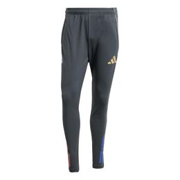 adidas Performance Sporthose 'Olympique Lyon Tiro 25 Competition' Herren Gr&ouml;&szlig;e XS blau / grau