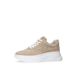 Manfield Sneaker Damen Gr&ouml;&szlig;e 40 dunkelbeige