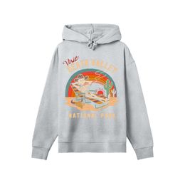 F4NT4STIC Sweatshirt 'US National Parks Visit Death Valley' Damen Gr&ouml;&szlig;e XS grau / mischfarben