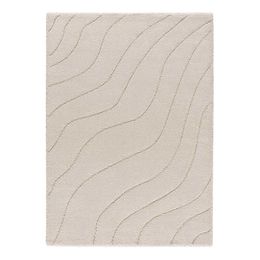 Moma Hochflor-Teppich ''Molier'' in Creme - 60% | Gr&ouml;&szlig;e 80x150 cm |