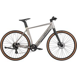 Adore Unisex &raquo;UBR-770&laquo; 8 Gang Shimano Altus Schaltwerk Kettenschaltung Heckmotor 250 W Pedelec, Elektrofahrrad f&uuml;r Damen u. Herren grau