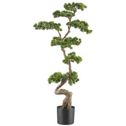 Creativ green Kunstbonsai &raquo;Bonsai Kiefer&laquo; mit elegantem Stamm gr&uuml;n Kunststoff