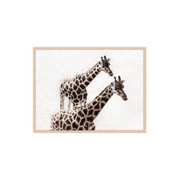 Liv Corday Bild 'Giraffes Couple' Herren Gr&ouml;&szlig;e 70x90 braun / dunkelbraun / wei&szlig;