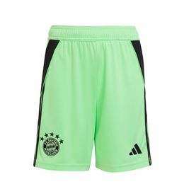 FC Bayern M&uuml;nchen Fc Bayern M&uuml;nchen Sportshorts Jungen Gr&ouml;&szlig;e 176 limette / schwarz