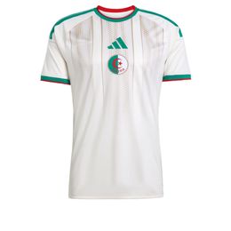 adidas Performance Trikot 'Algeria 26' Herren Gr&ouml;&szlig;e S beige / smaragd / rot / wei&szlig;