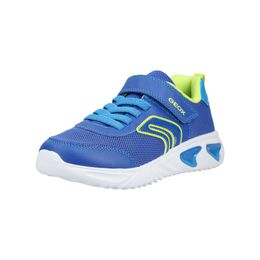 Geox Jungen Sneaker &raquo; Sneaker Lederimitat/Textil&laquo; 36