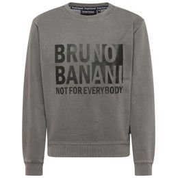 Bruno Banani Sweatshirt 'Birdwhistle' Damen Gr&ouml;&szlig;e XXL graumeliert