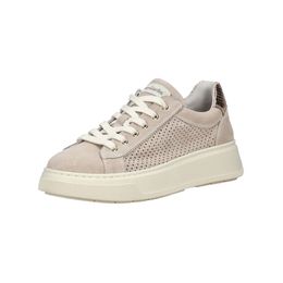 Nero Giardini Sneaker Damen Gr&ouml;&szlig;e 37 nude / gold