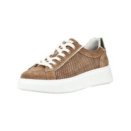 Nero Giardini Sneaker Damen Gr&ouml;&szlig;e 41 umbra / gold