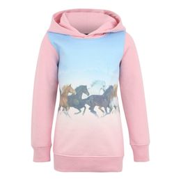 Arizona Sweatshirt M&auml;dchen Gr&ouml;&szlig;e 140/146 blau / hellblau / braun / rosa