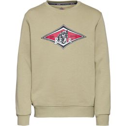 Bear Sweatshirt Jungen Gr&ouml;&szlig;e 128 beige / rot