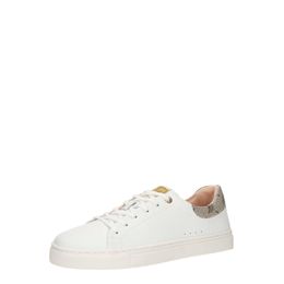 JOOP! Sneaker 'Mazzolino Fine Coralie' Damen Gr&ouml;&szlig;e 40 beige / hellbeige / dunkelbeige / gold