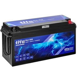 ten haaft tHENERGY Lithium Batterie LiFePO4 Bat 315 Ah, 12,8 V
