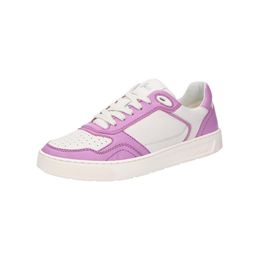 Sioux Sneaker 'Tedroso' Damen Gr&ouml;&szlig;e 42 lila / offwhite